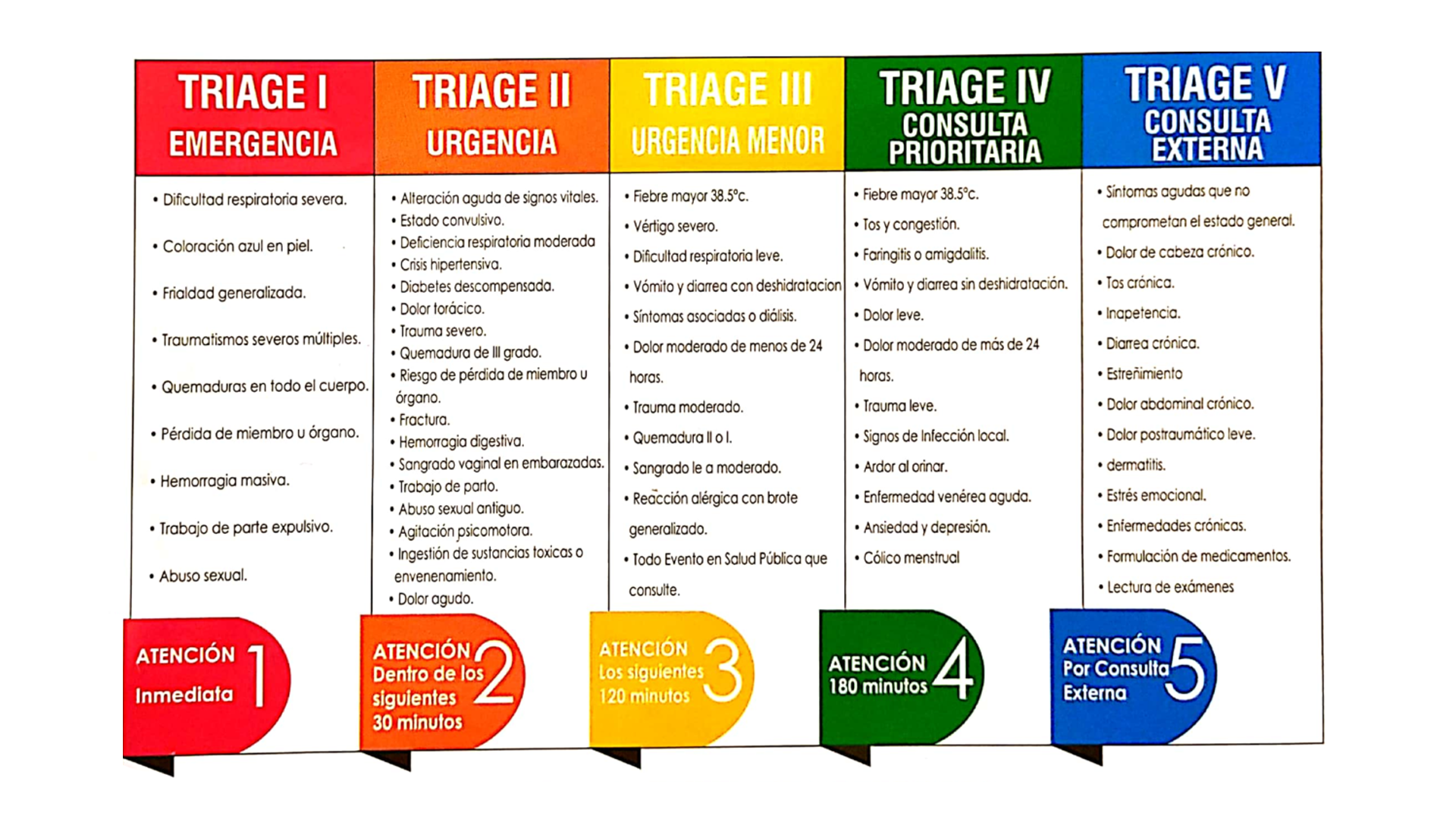 Clasificación Triage en Urgencias Veterinarias: ¿Cuándo Actuar con ...